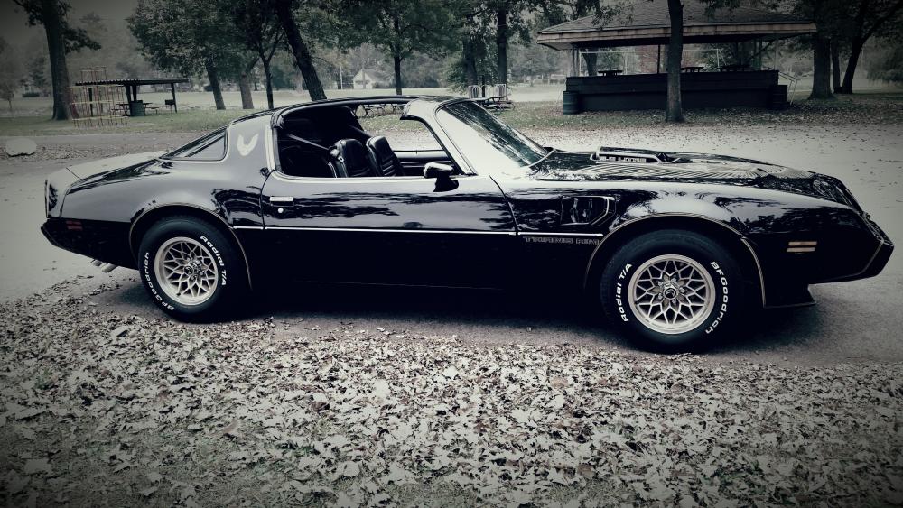 Photo special effects - The Pontiac Car Show - Forever Pontiac Forums